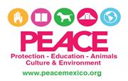 PEACE Mexico - Investing In Communities®